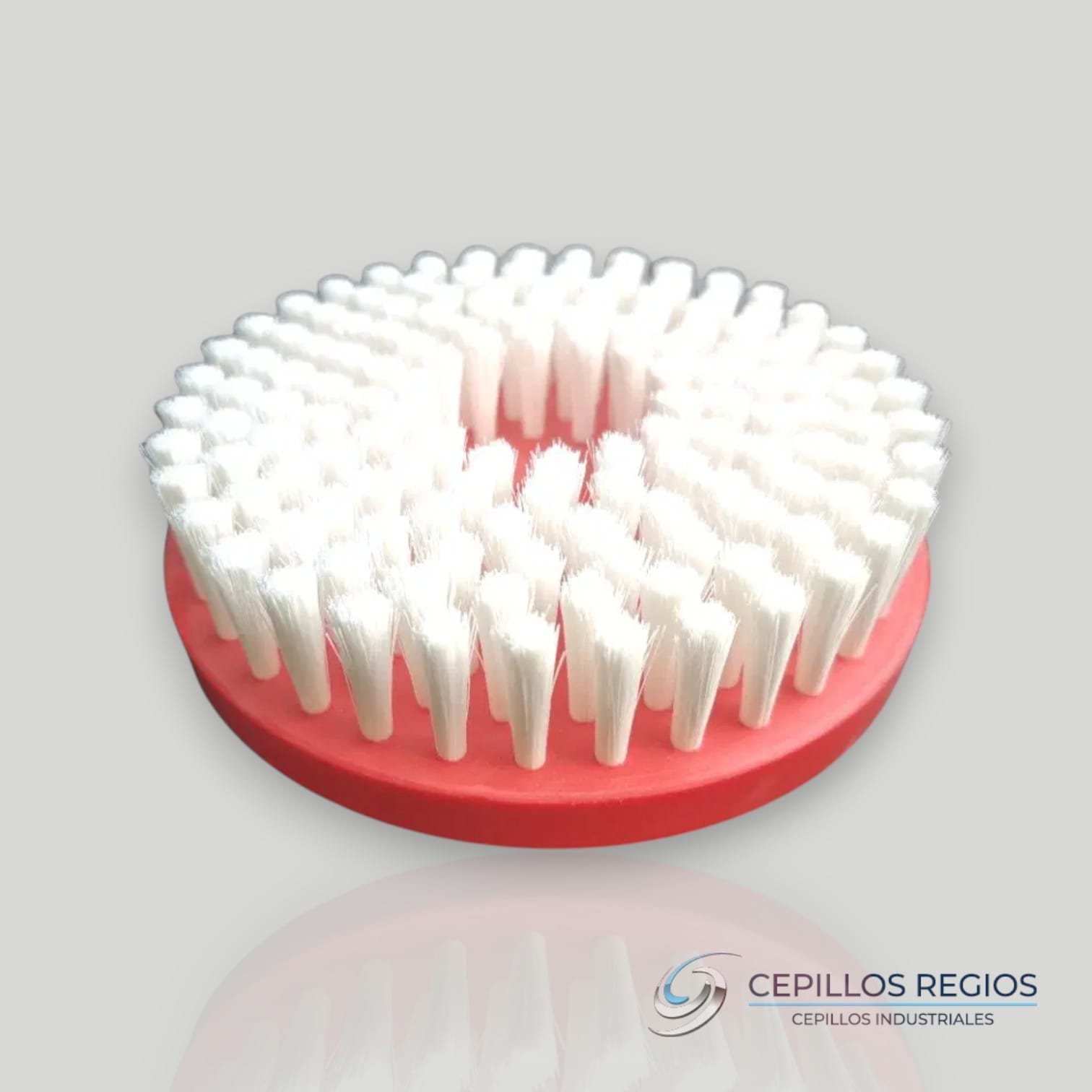 Cepillos redondos planos con base de Nylon - Cepillos Regios